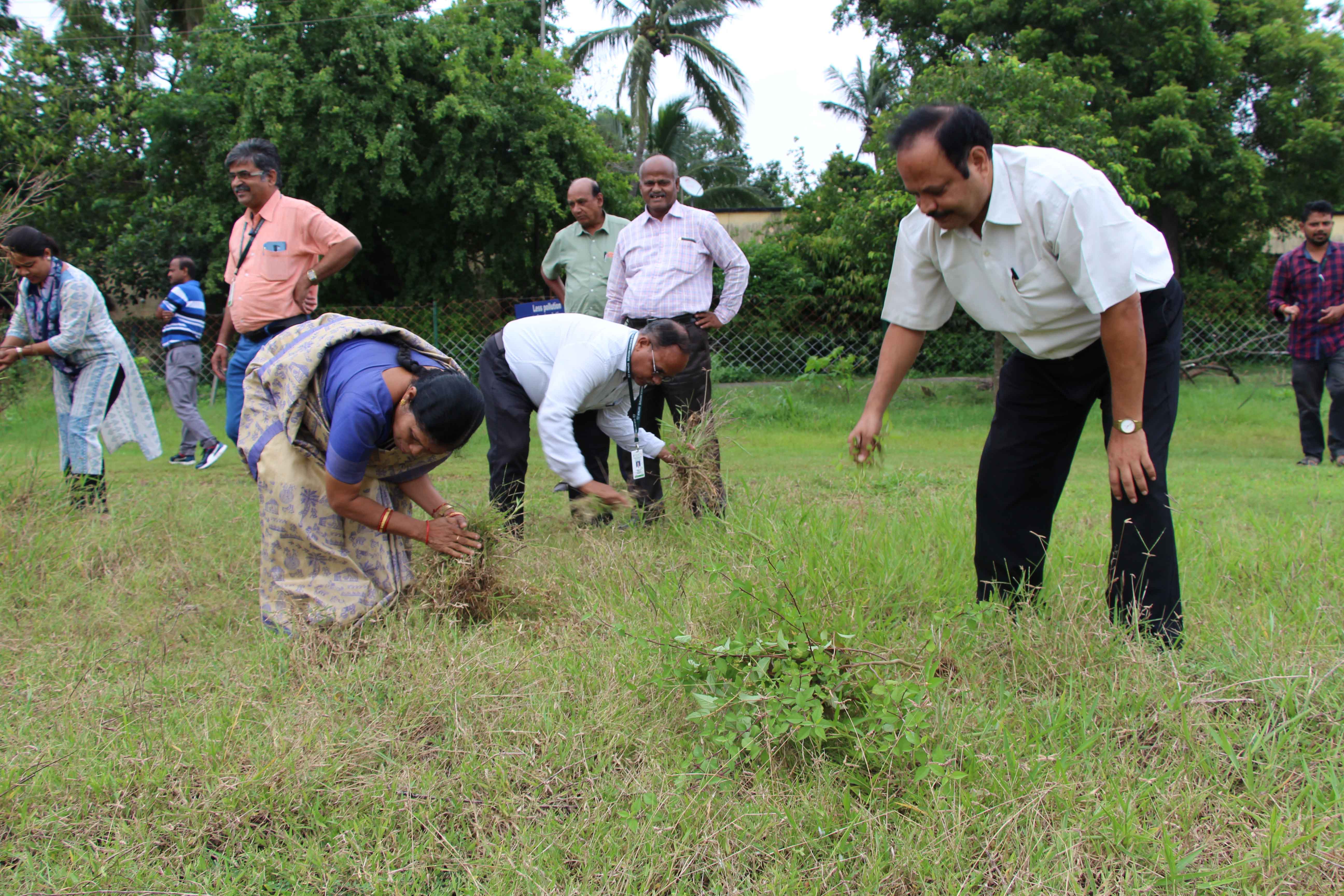 NRRI Training Portal